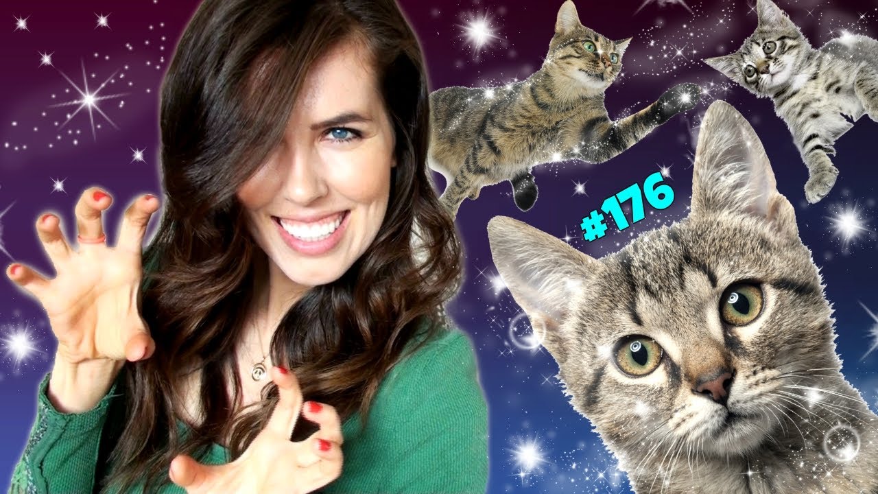 SPARKLY CATS! (S.O.S. #176) - YouTube