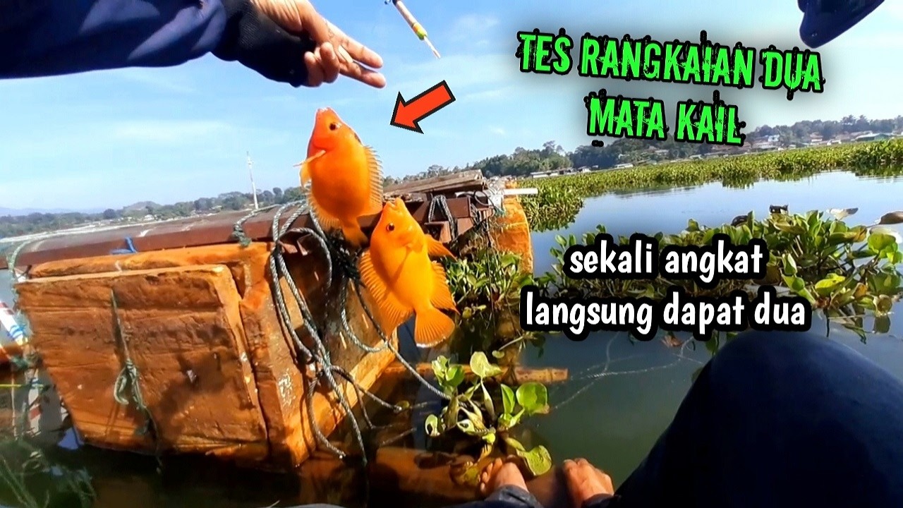 NYOBA RANGKAIAN DUA MATA KAIL_SERU SEKALI EUY | mancing ikan red devil ...
