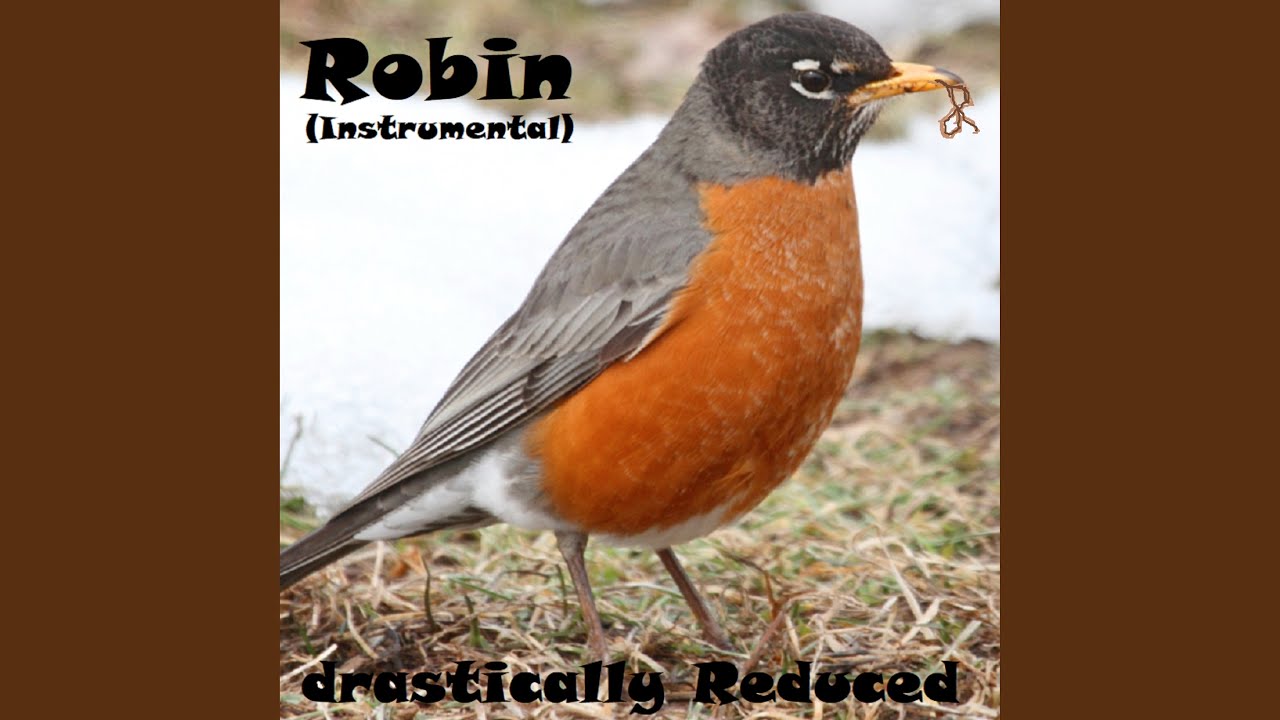 Robin (Instrumental) - YouTube Music