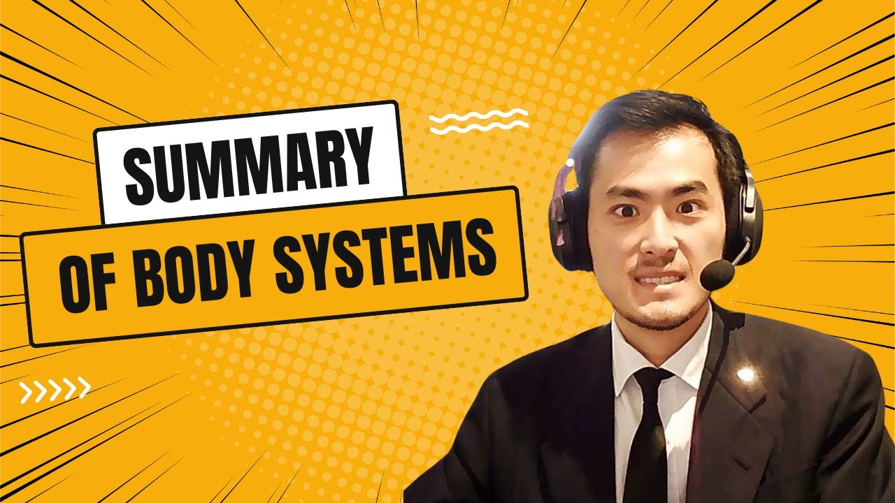 Summary of the main body systems! - YouTube