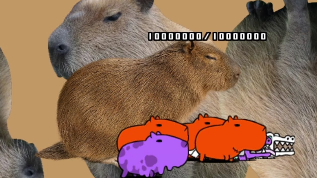 the battle cat Capybara - YouTube