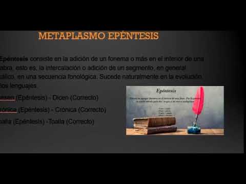 Metaplasmos que es y que tipos existen? - YouTube