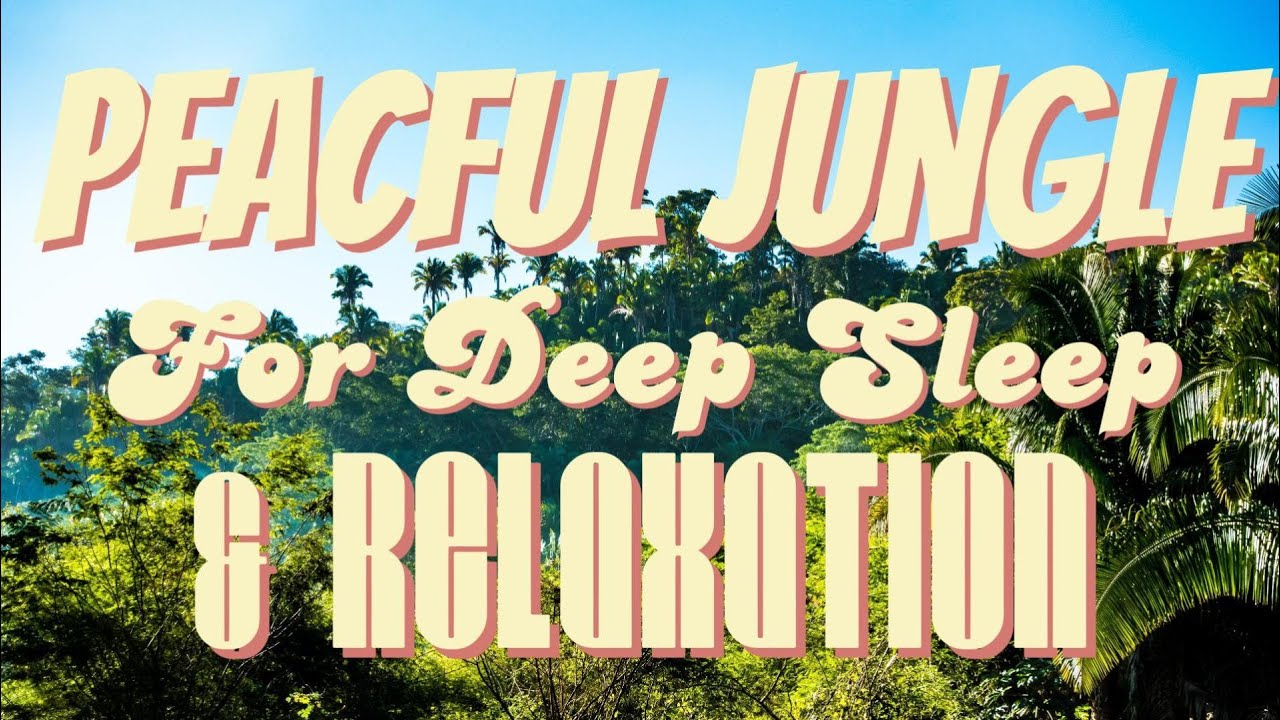 Relaxing Jungle Sounds for Deep Sleep and Relaxation - YouTube