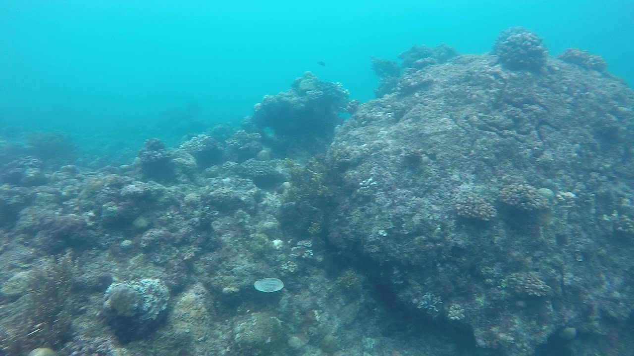 blup blup blup - YouTube