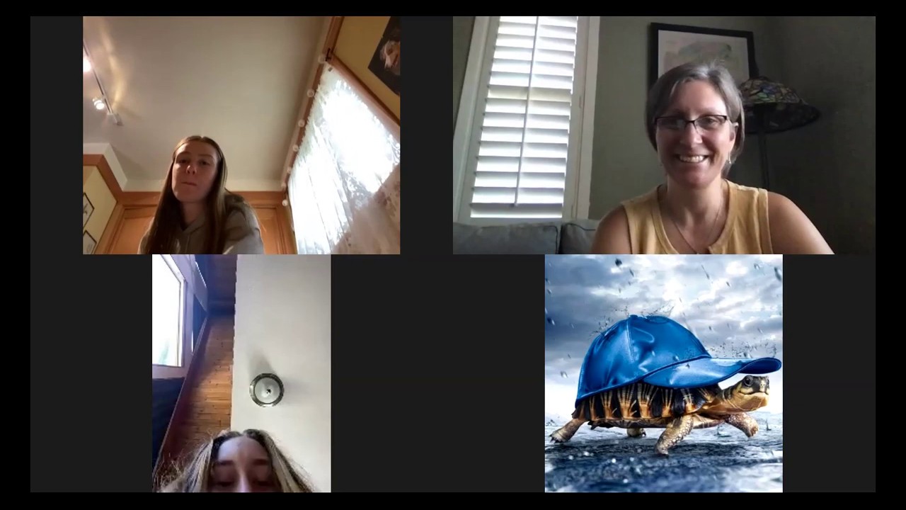 AP Calculus Class Zoom Meeting 5/20/2020 - YouTube
