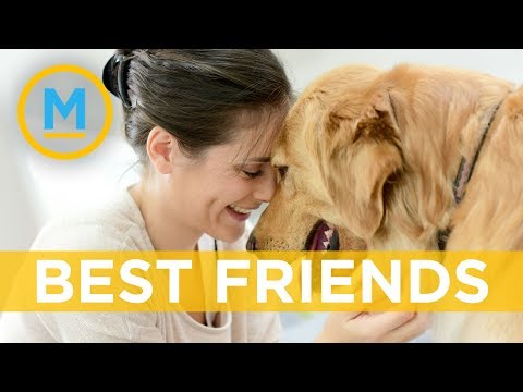 Study shows women love their dogs more than their partner | Your Morning