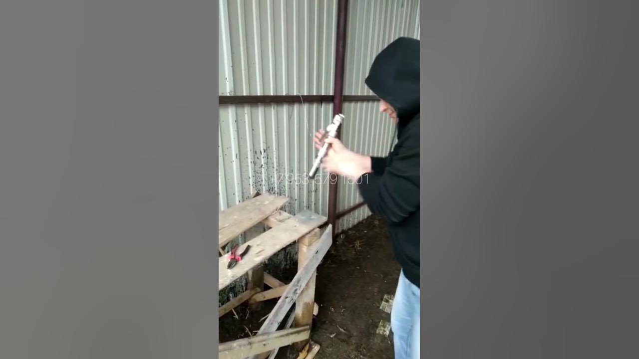 Российский пистолет для оглушения крс - YouTube