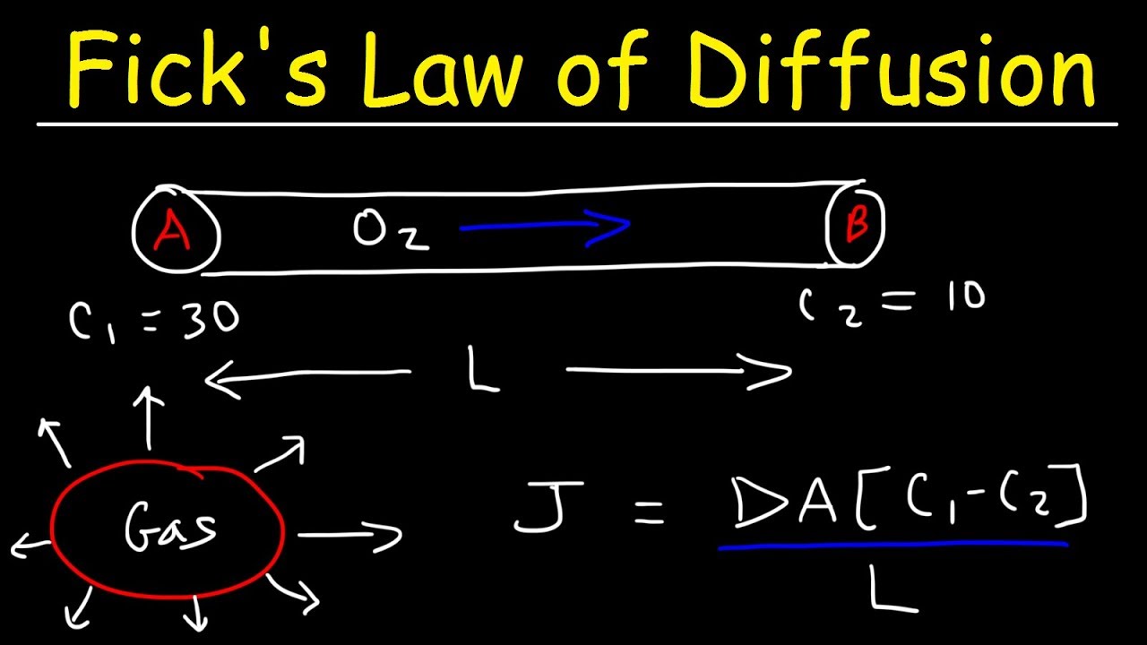 Fick s Law Of Diffusion Concentration Gradient Physics Problems YouTube fick-s-law-of-diffusion-concentration-gradient-physics-problems-youtube