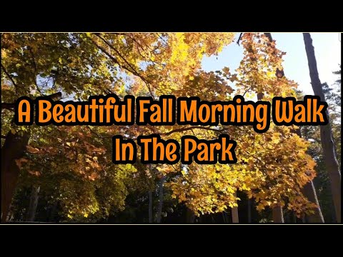 Join Us For A Beautiful Fall Walk In The Park #fall #autumn # ...