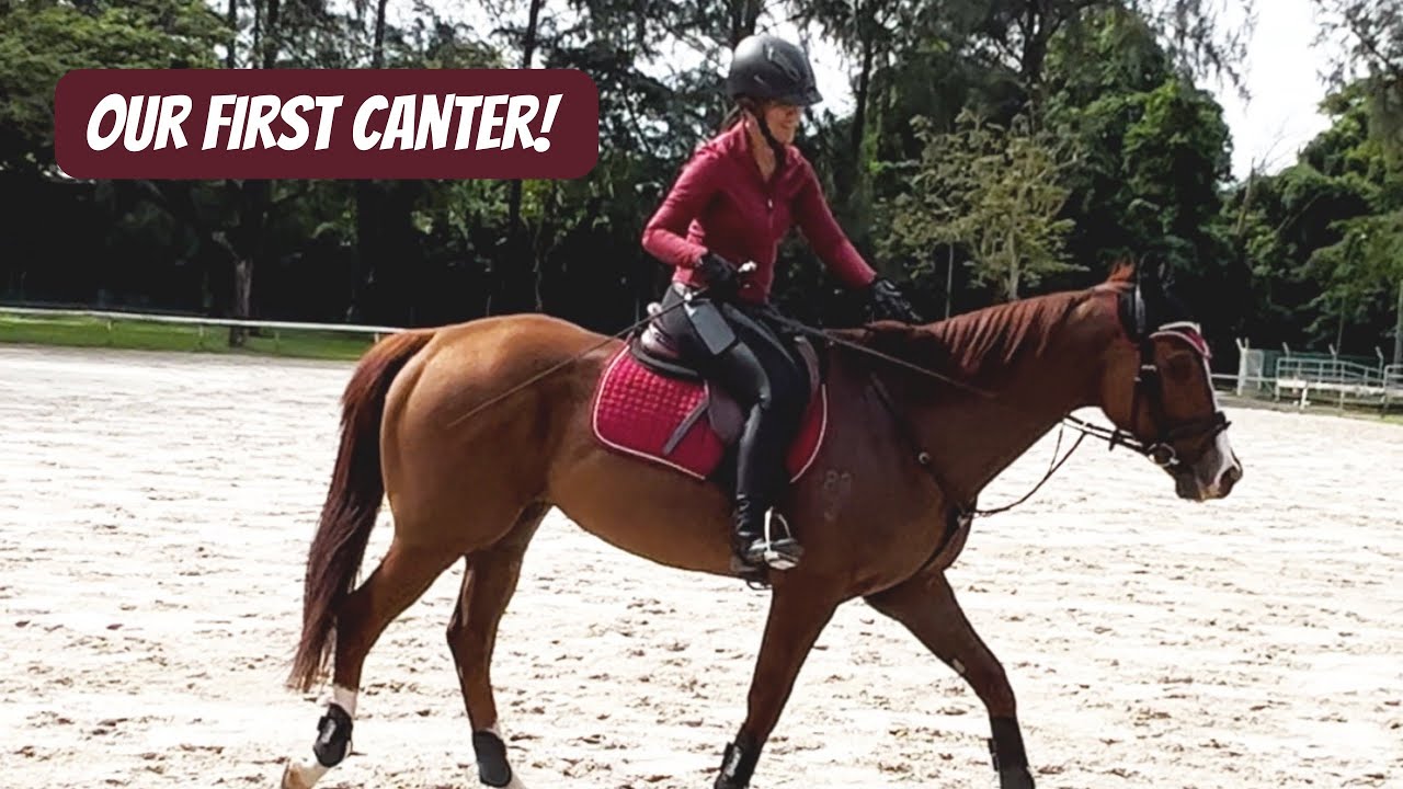 Our first Canter together! - YouTube