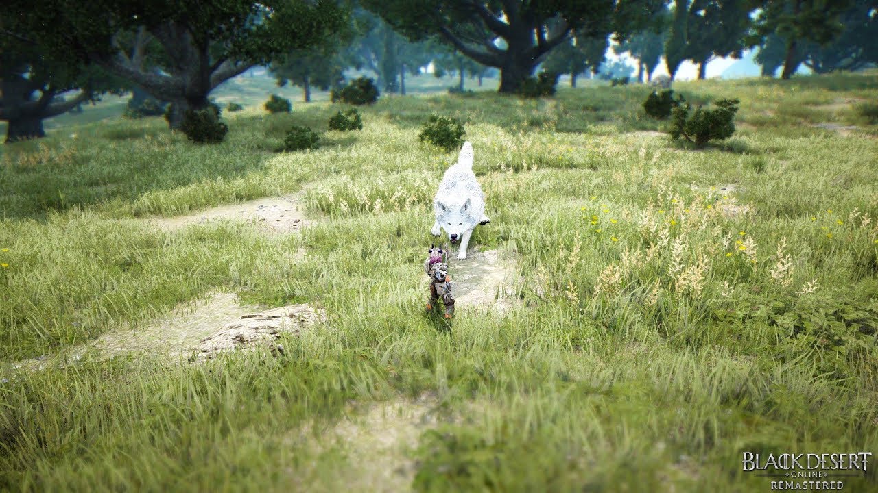 White Wolf Hunting Daily - YouTube