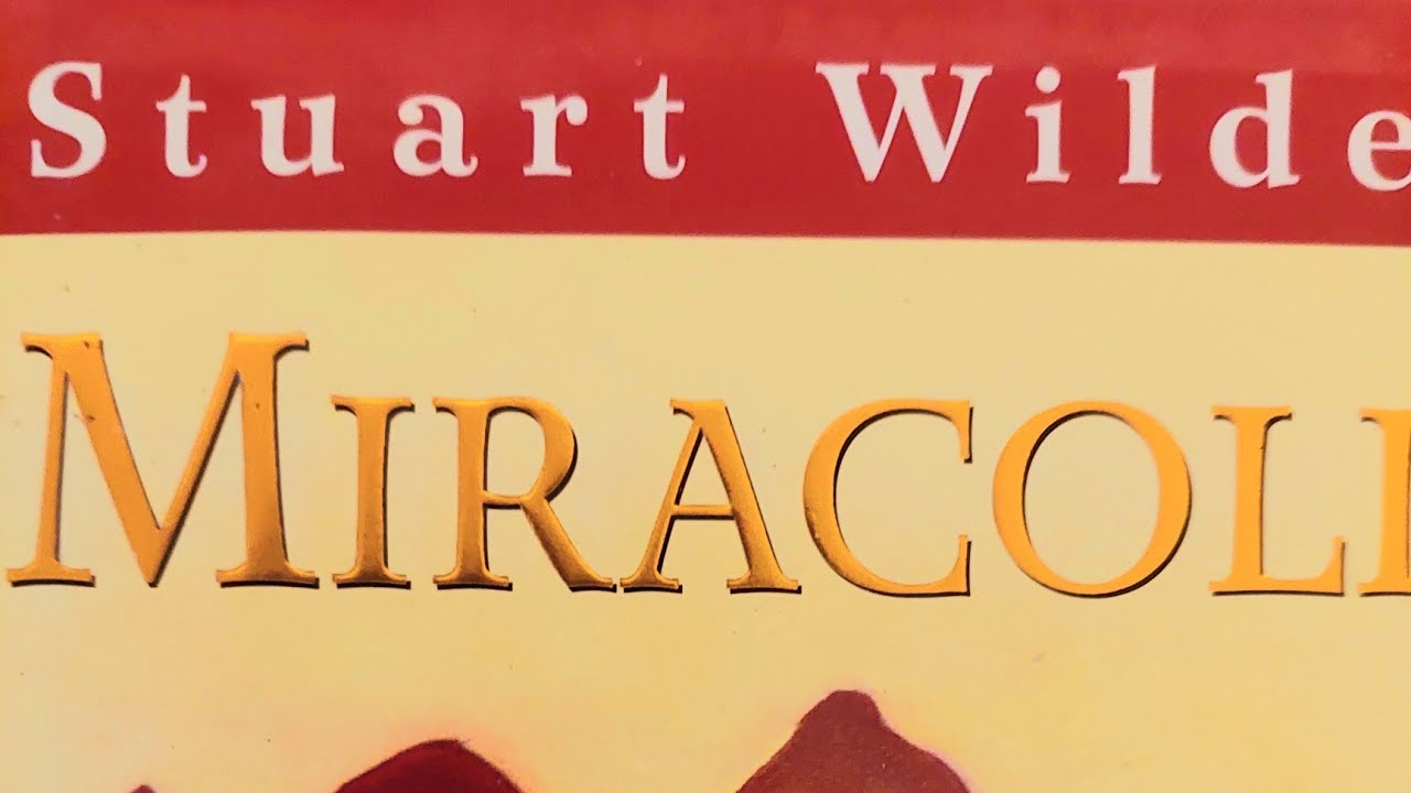 MIRACOLI di Stuart Wilde AUDIOLETTURA DEL 4° LIVELLO : Il " Piano D ...