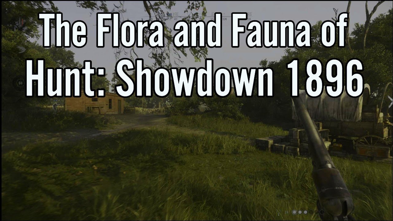 The Flora and Fauna of Hunt Showdown 1896 - YouTube