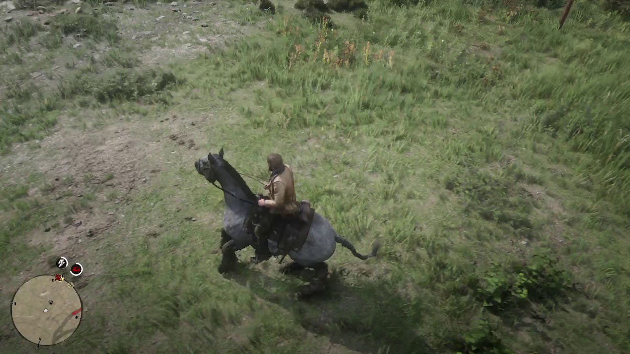 Red Dead Redemption 2 best prairie chicken kill - YouTube