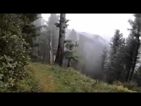 Relaxing Walk in Mountains | Dagri Bangla to Miranjani Top | Galliyat ...