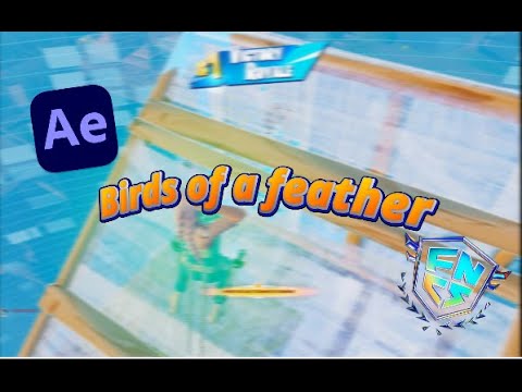 BIRDS OF A FEATHER MONTAGE. feat scarebear - YouTube