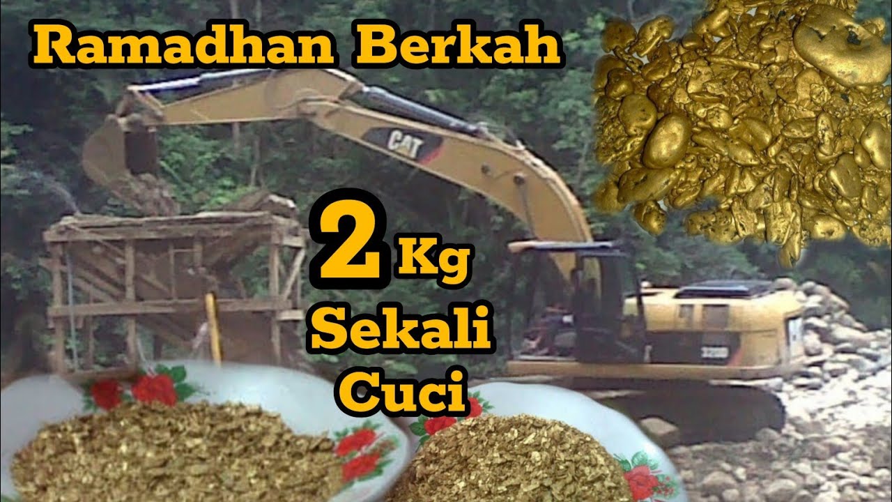 Tambang emas || sekali cuci 2kg || Indonesia gold mining - YouTube
