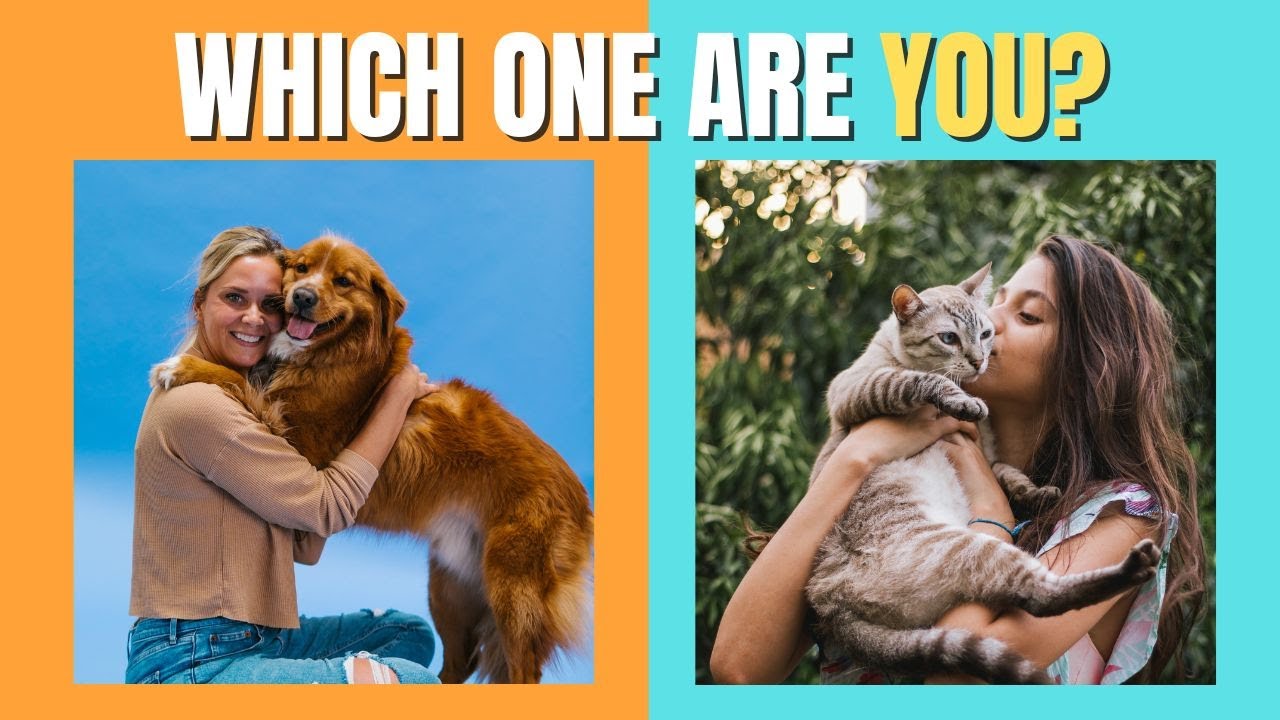 What Type of Person You Are? Which One Are You? - YouTube