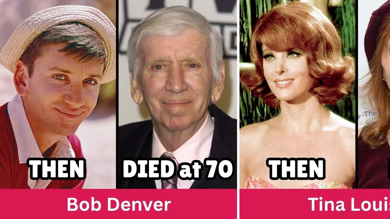 Gilligan’s Island 1964 Cast THEN and NOW 2025 – After 61 Years, Who Is ...