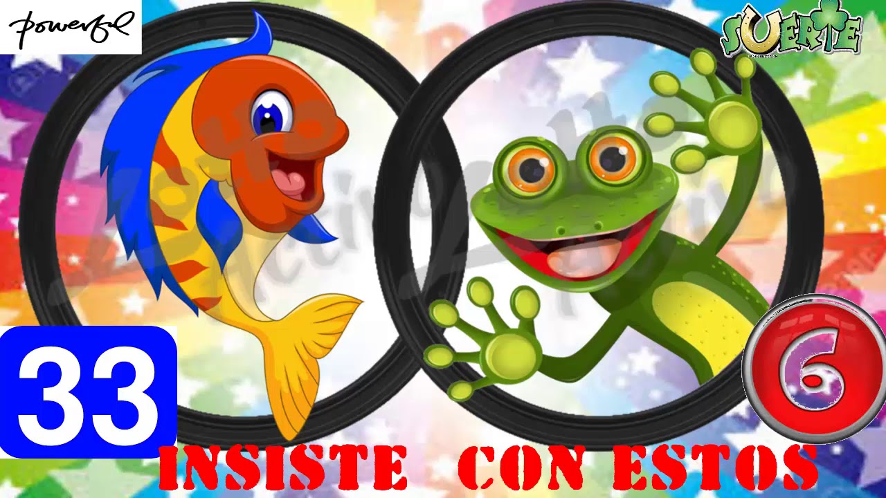 LOTTO ACTIVO DATOS GRATIS PARA JUGAR A LOS ANIMALITOS 17-10-2017 - YouTube