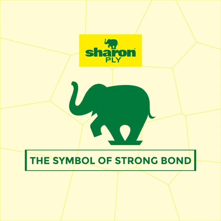 SharonPly - Elephant Mascot | 2024 - YouTube