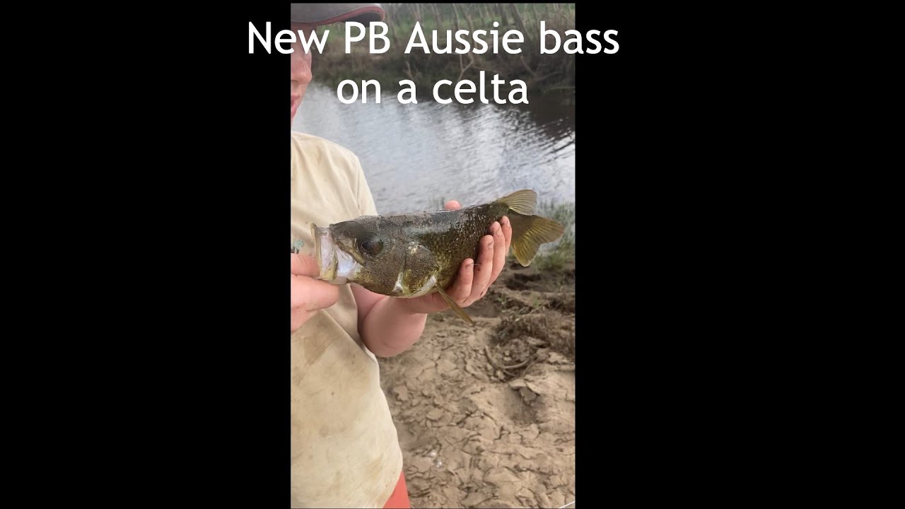 new PB Aussie bass on a Celta - YouTube