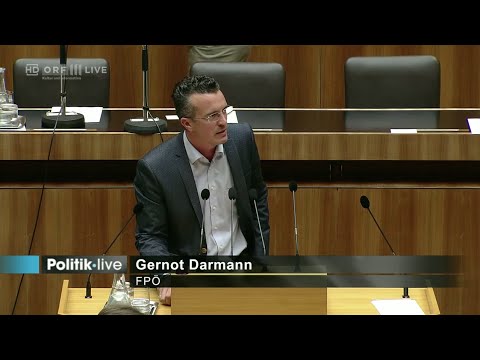 Gernot Darmann - Menschenrechtslage an den Grenzen der EU - 17.6.2015 ...
