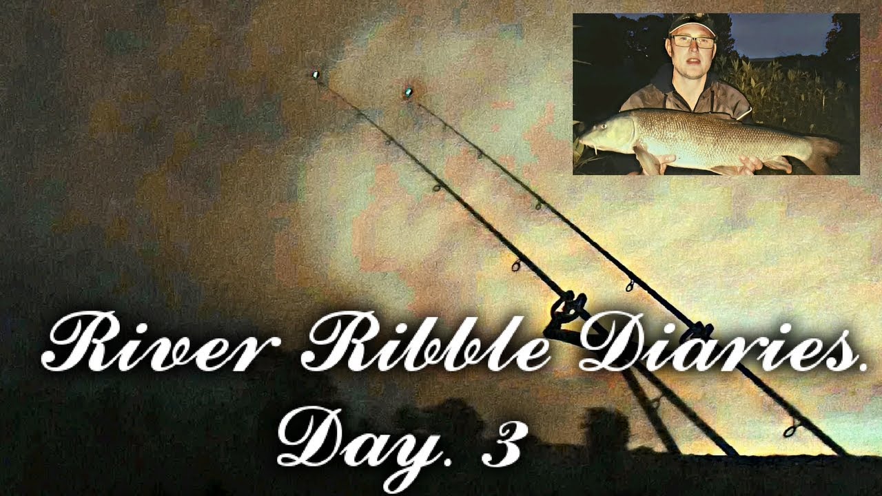 River Ribble Fishing Diaries Day 3. Big Barbel - YouTube