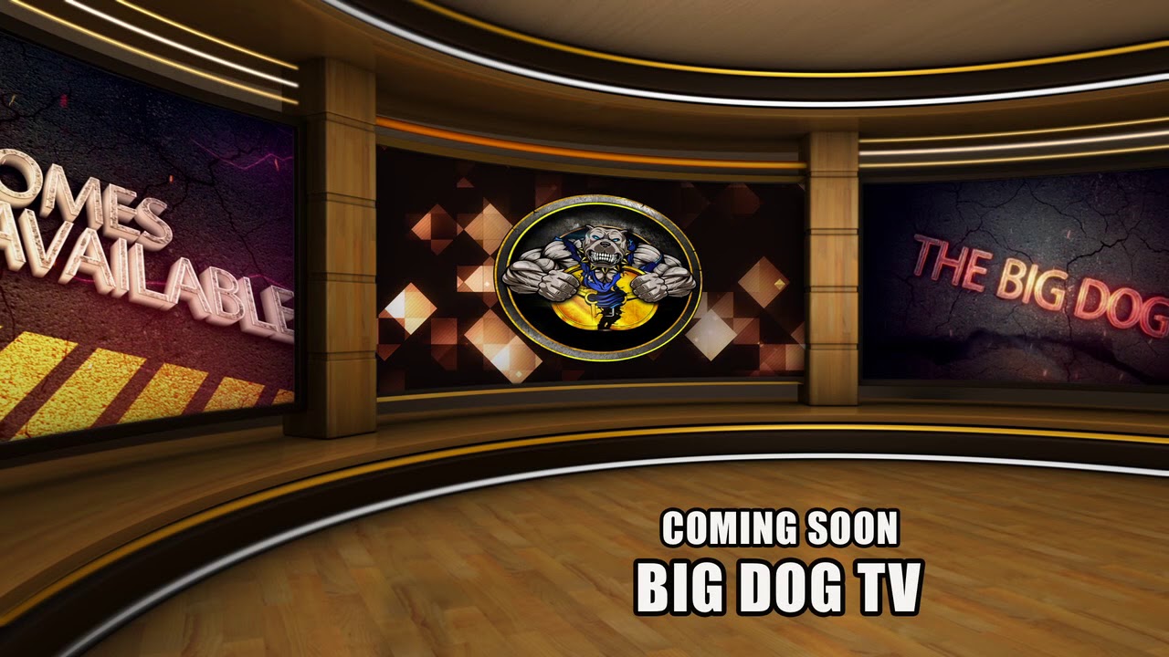 Big Dog TV - YouTube