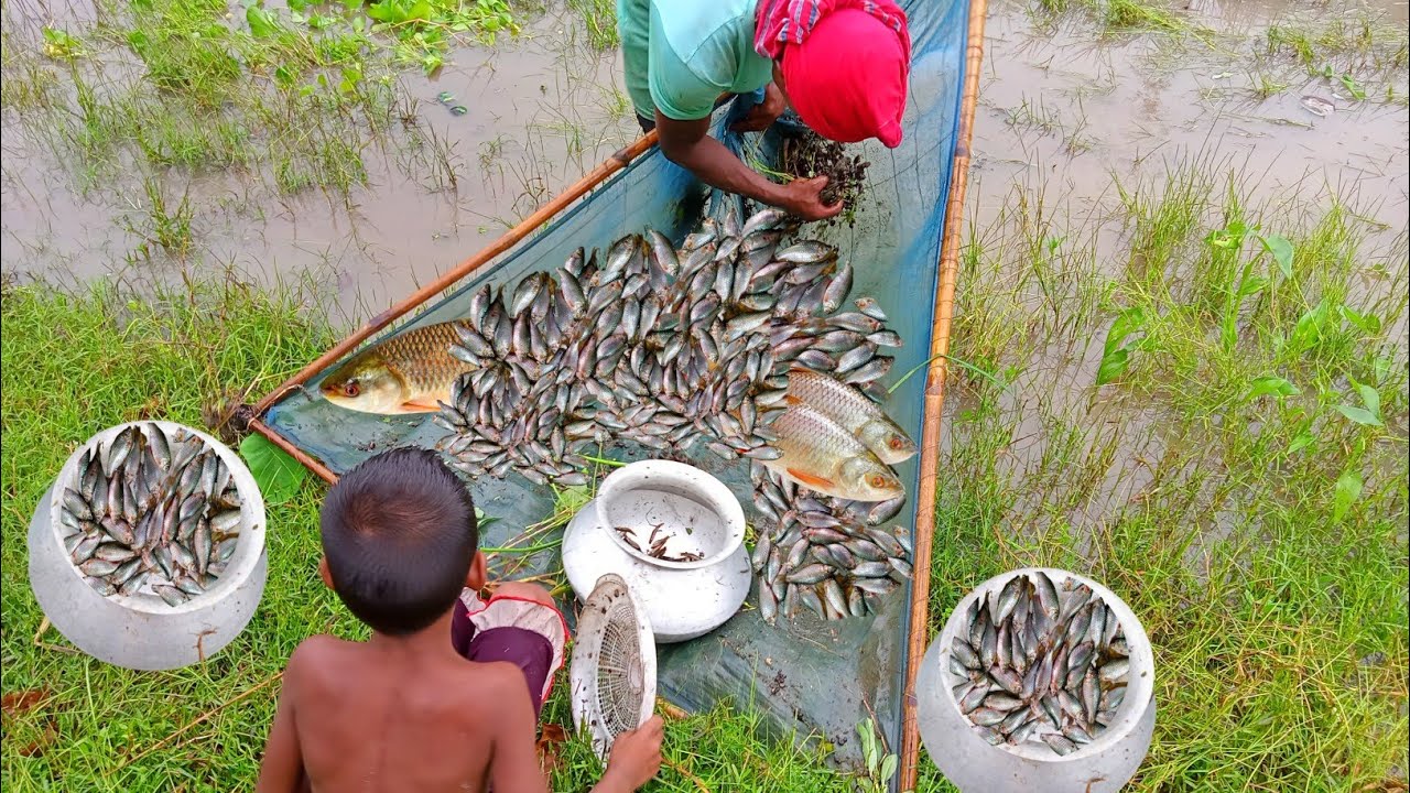 Extraordinary Fishing With Push Net|Fishing in The Lake Of Village ...