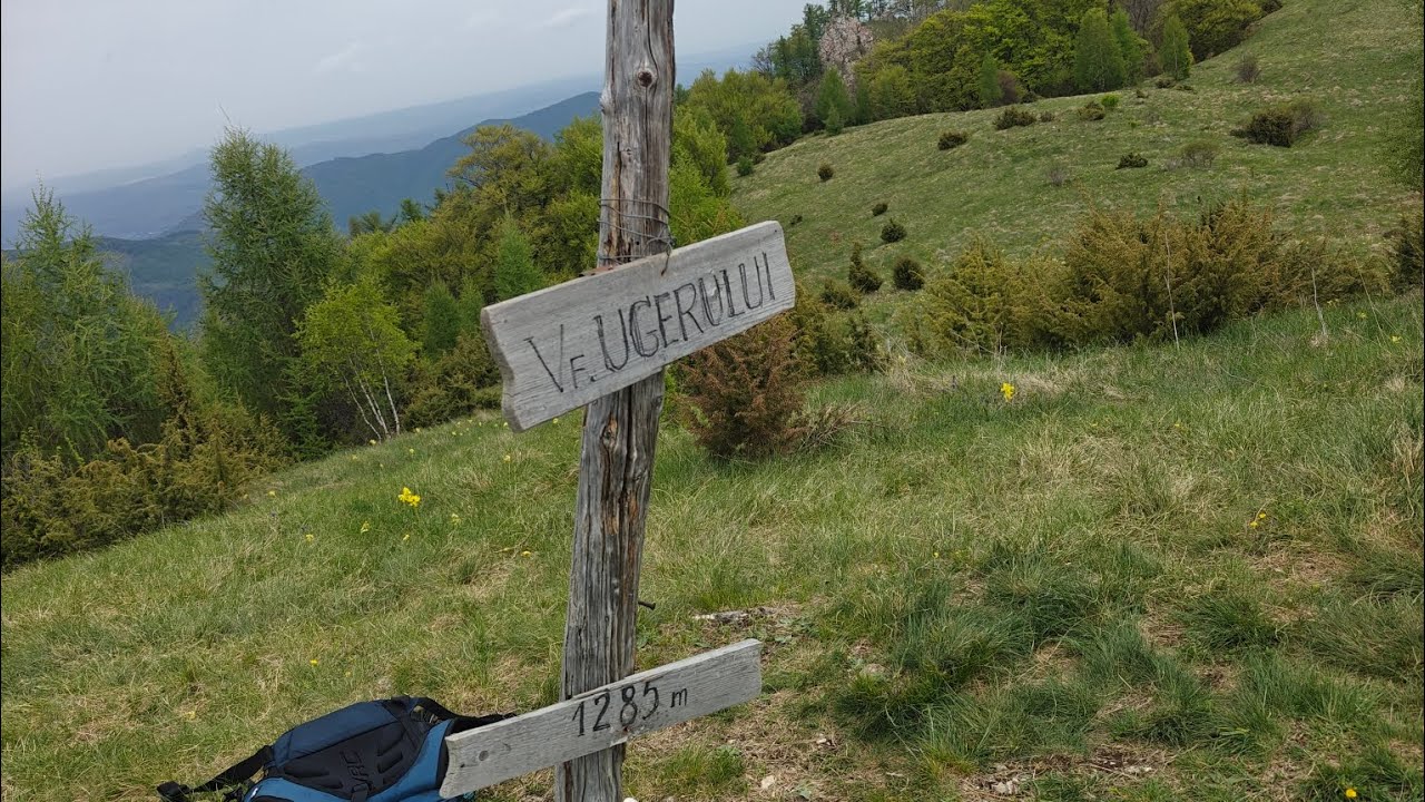 Vârful Ugerului munții Apuseni - YouTube