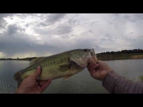 Topwater Sniper Bass