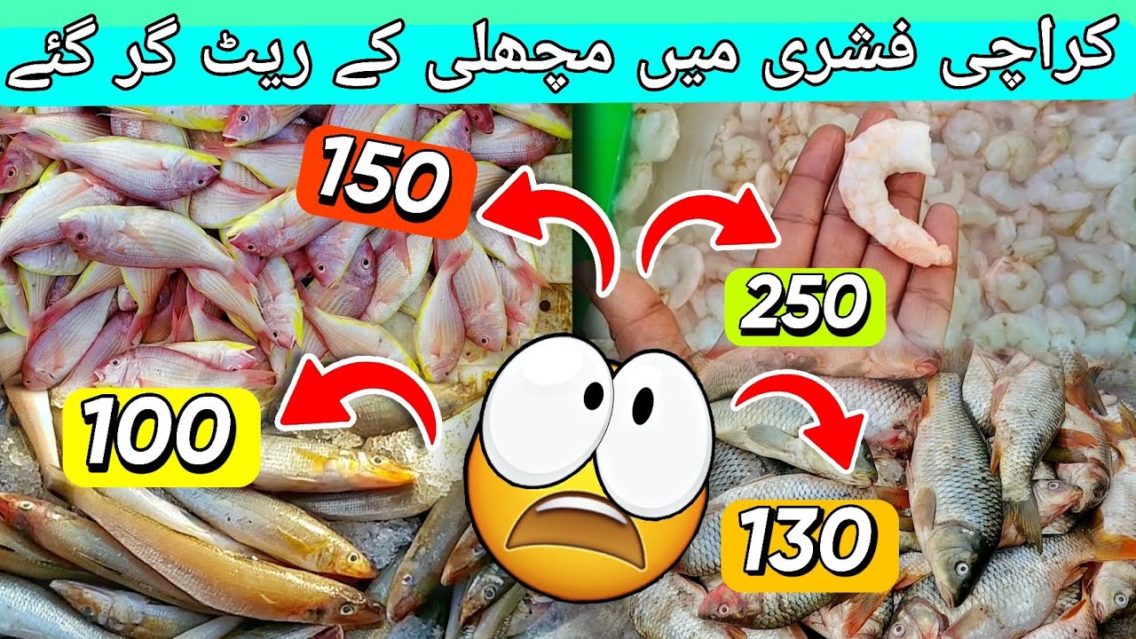 Biggest Fish Market in Karachi Pakistan 2023 | Fish Market Karachi 2023 ...