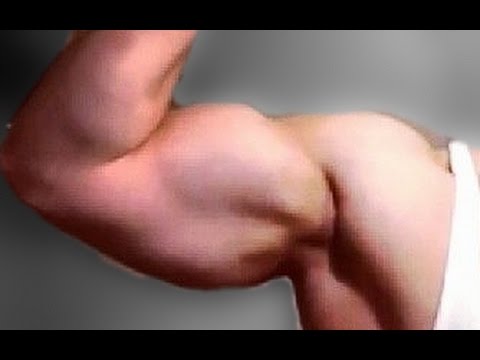 Kollarımı nasıl büyütebilirim ? Kol Kasları geliştirmek - Vücut Geliştirme Shredded Brothers
