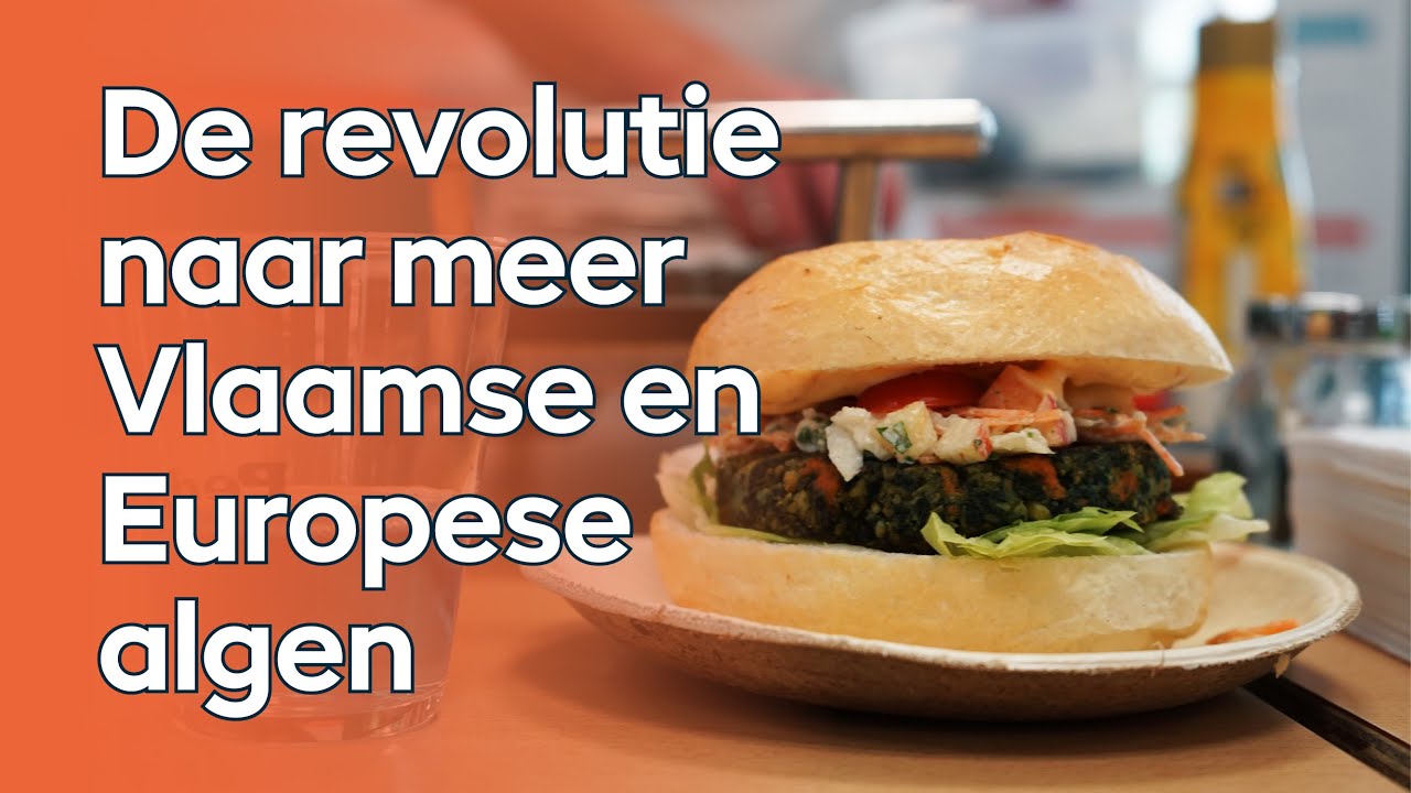 Microalgen - Reportage RADIUS & PlattelandsTv - YouTube