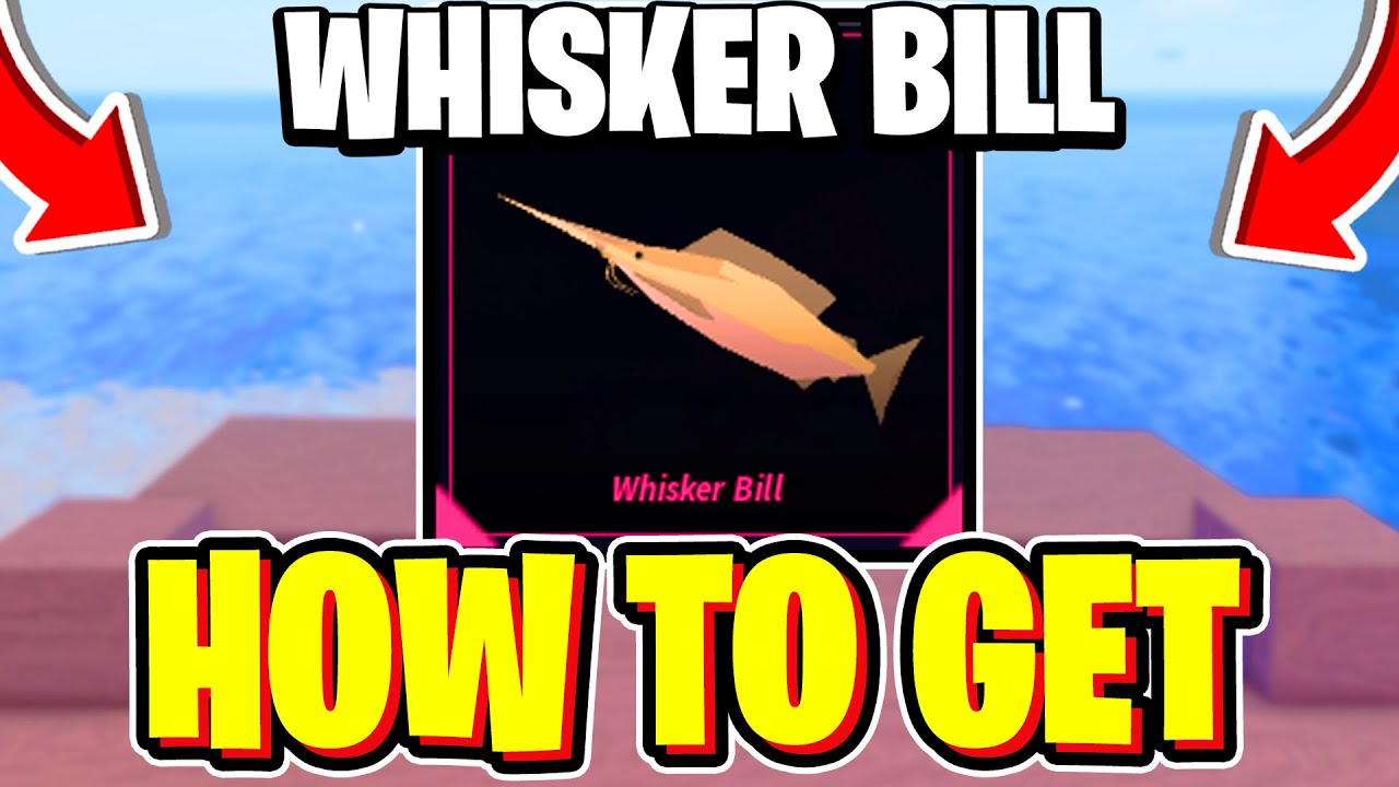How To GET WHISKER BILL In Fisch! Roblox - YouTube