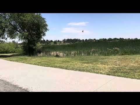Berkeley Lake Park Denver Colorado #2 - YouTube
