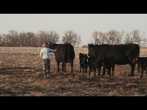 North Dakota | Climate Change Resources