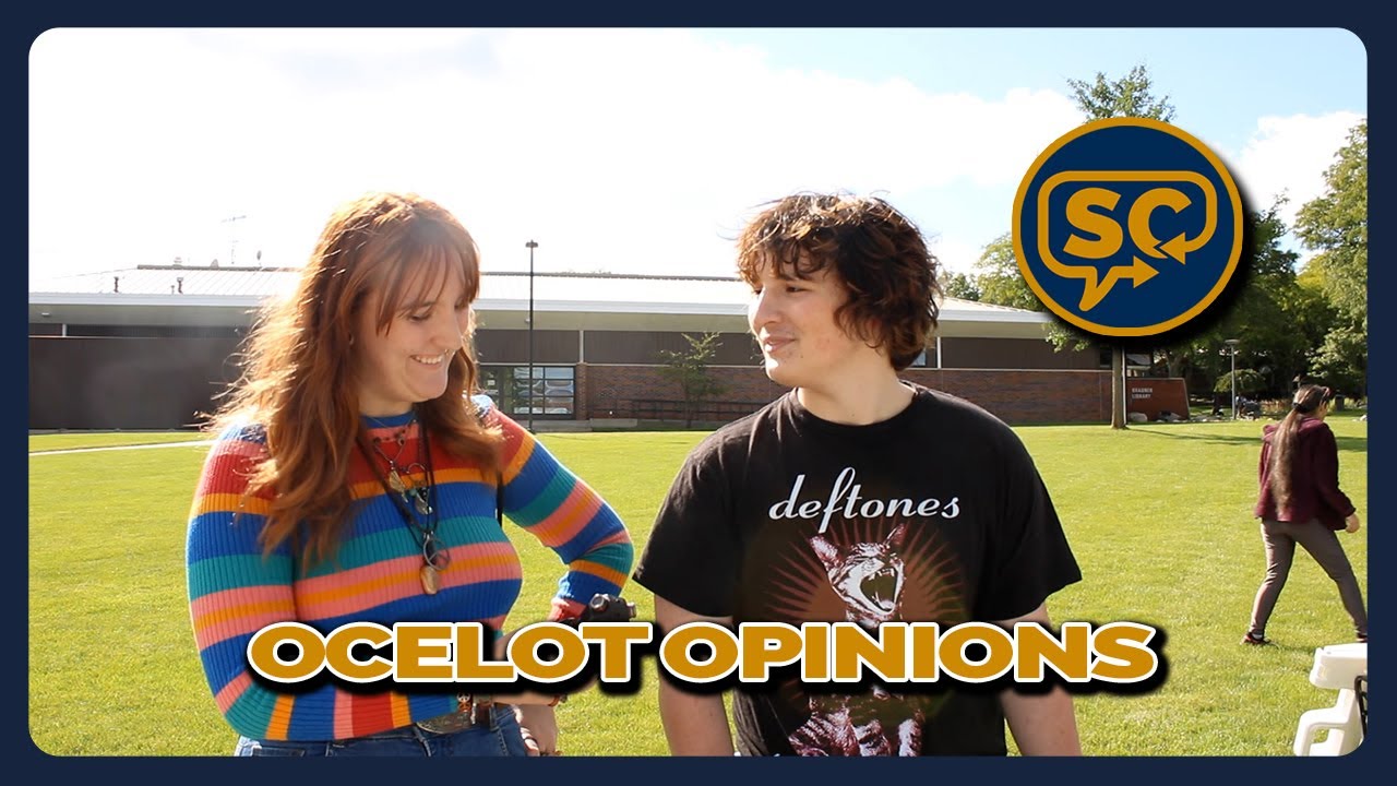 Tips for Success | OCELOT OPINIONS #20 - YouTube