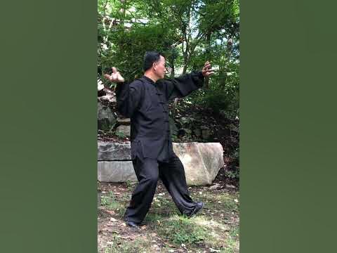19 Form 十九式 Part 4 | Master Ren Guangyi 任广义 | Chen Taijiquan Tai Chi 陳氏太极 | Chi Force - YouTube