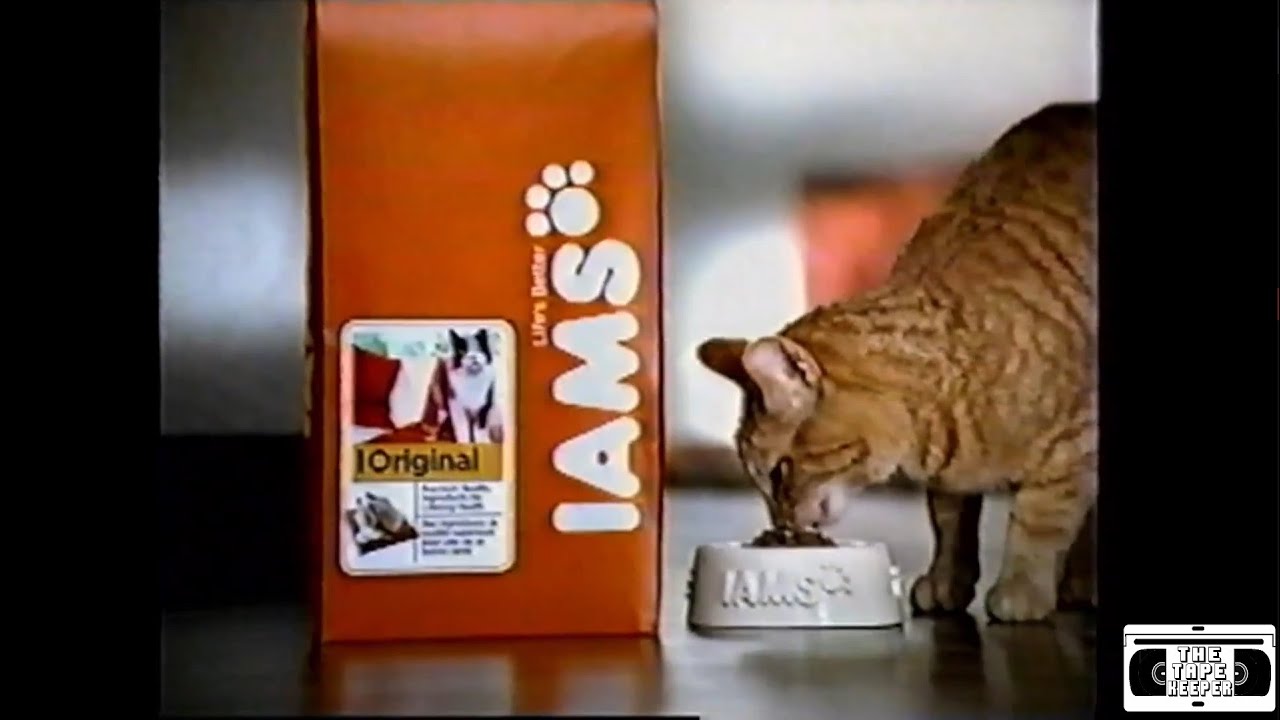 Iams Commercial - 2006 - YouTube