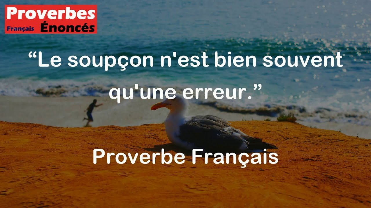 Proverbe Français - Le soupçon n'est bien souvent qu'une erreur. - YouTube