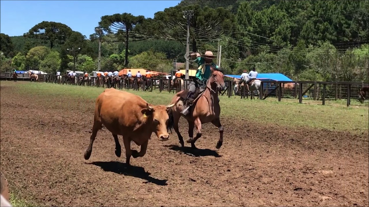Rodéo à Vacas Gordas - YouTube