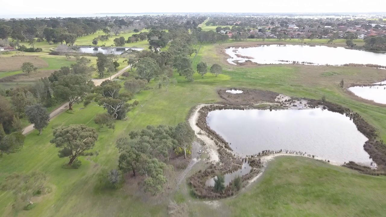 Edithvale wetlands - YouTube