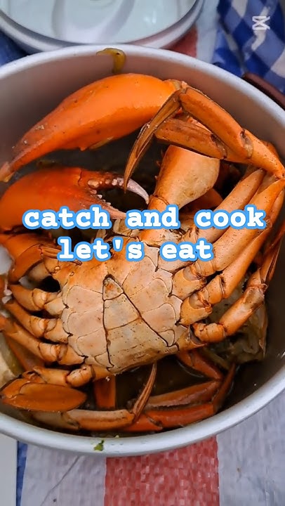 Catch&cook crabs/eat @jabelino25 - YouTube