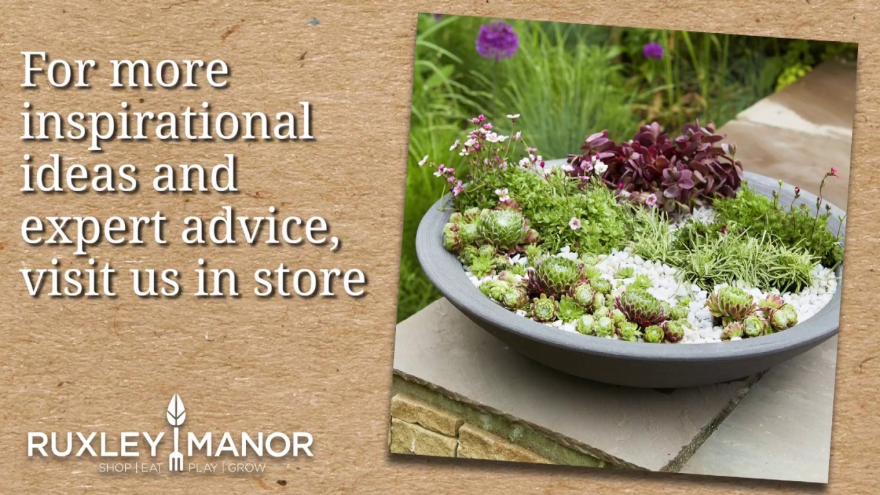 How to plant a miniature Alpine Garden - YouTube