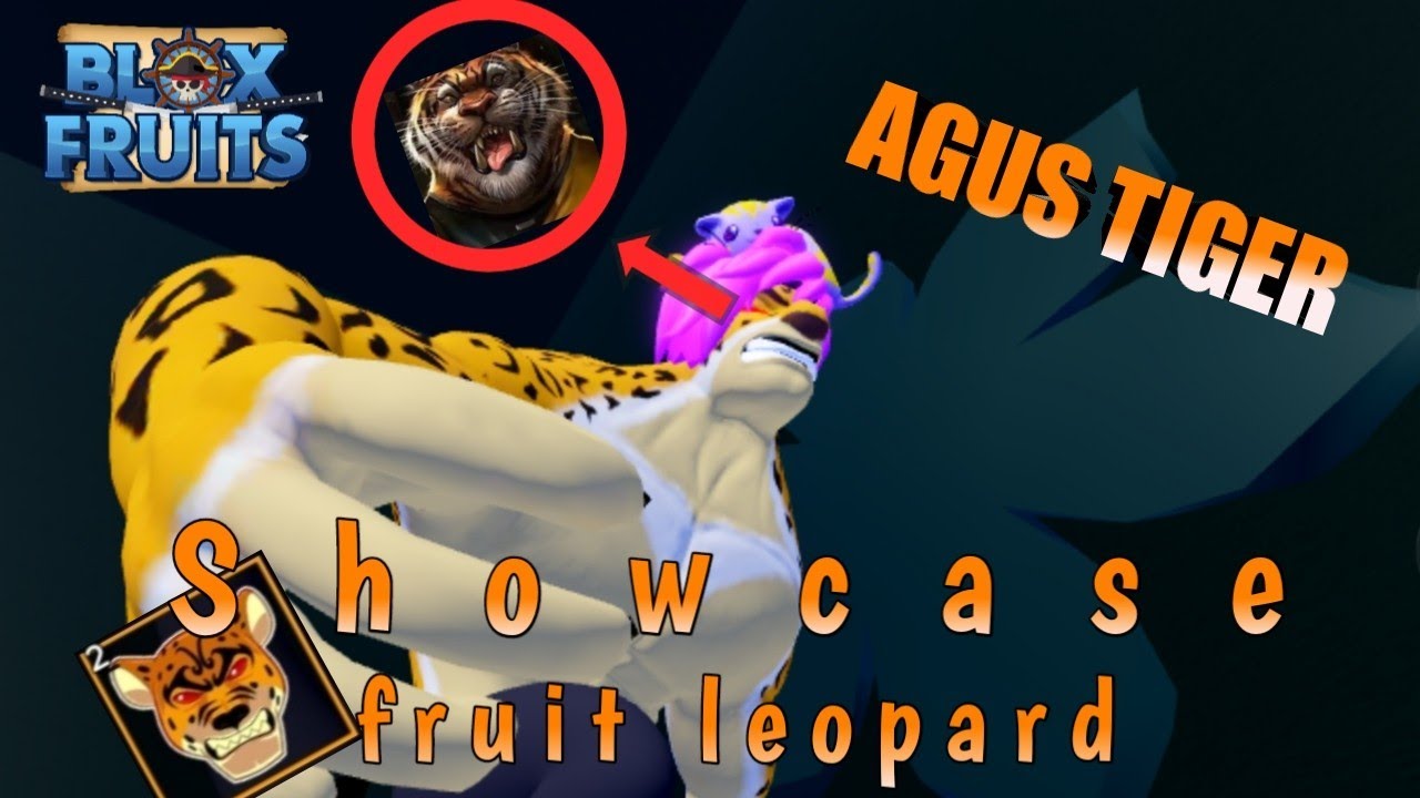 showcase leopard dan Gw menjadi agus tiger😱‼️| BLOXFRIUT | INDO#11 ...
