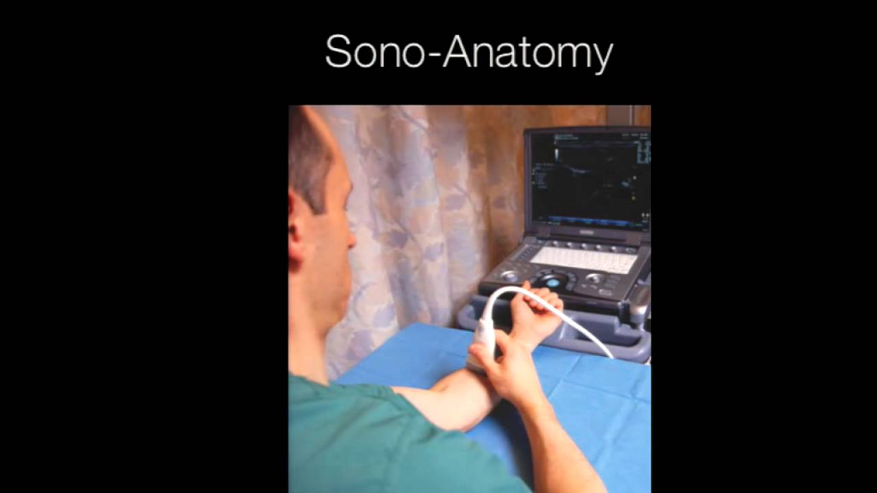 Regional Anesthesia - Teaching Models for Needle Tracking and Needling ...