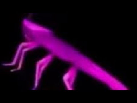 [1 hour] spinning rainbow roach - YouTube
