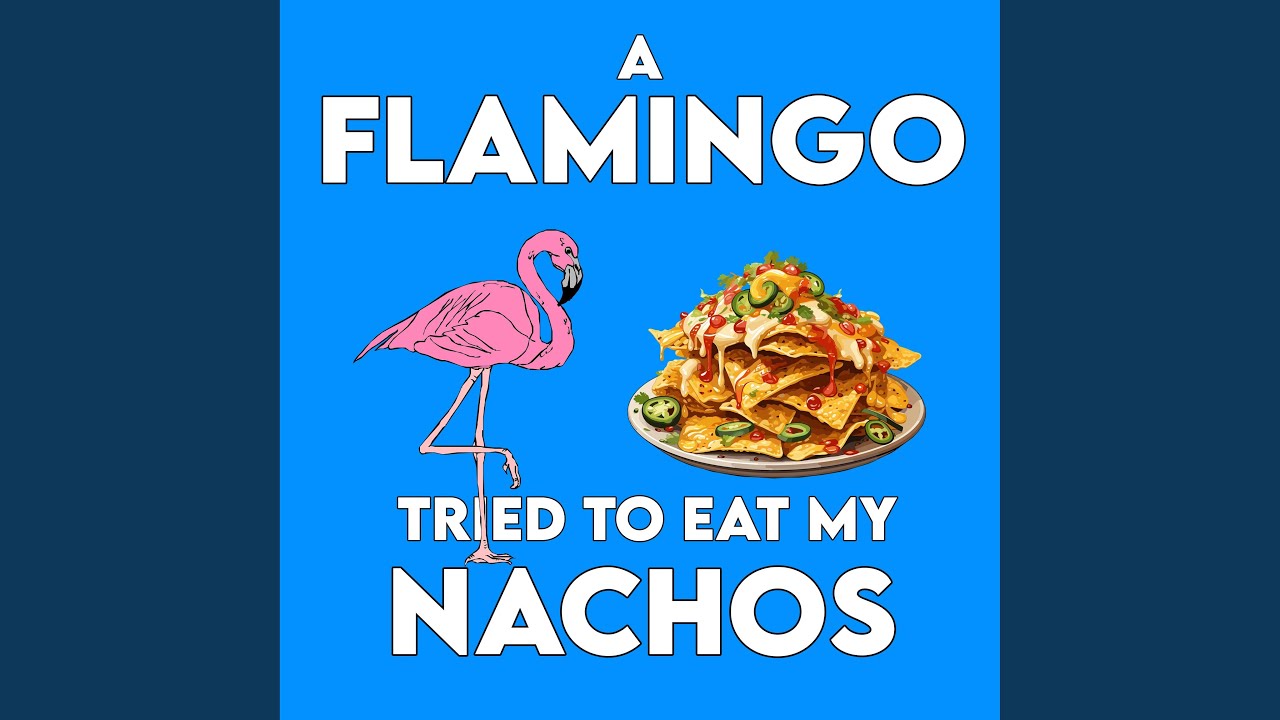 A Flamingo Tried To Eat My Nachos - YouTube